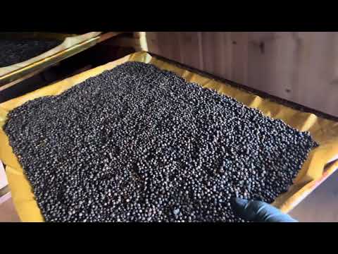 Bonehead’s Smokin’ Kitchen – Bonehead's Smokin' Kitchen